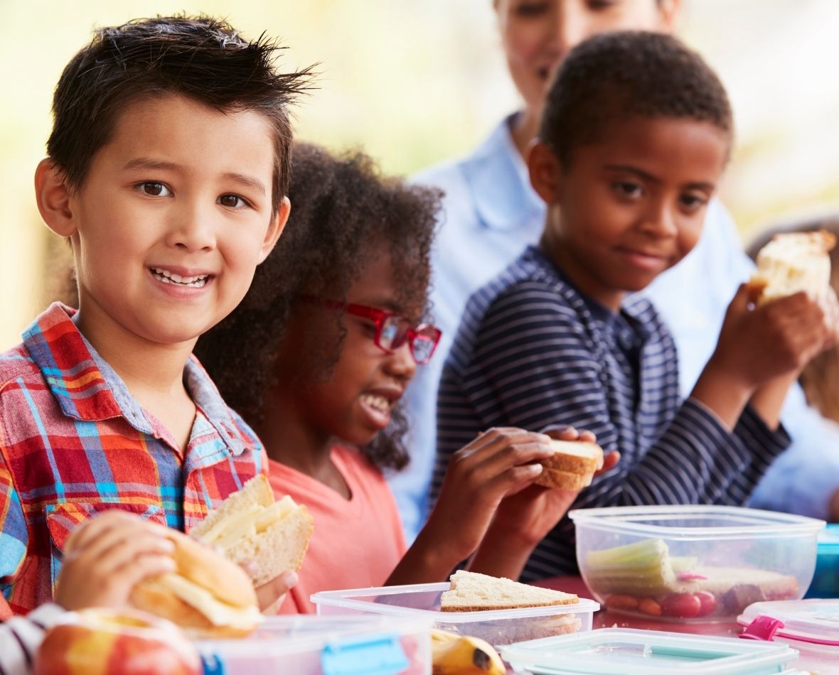 Tips on waste free lunches to help the environment and your pocket ...