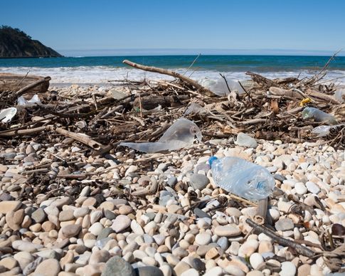 Tips to Reduce Plastic Waste | Oceans of Plastic |Blog